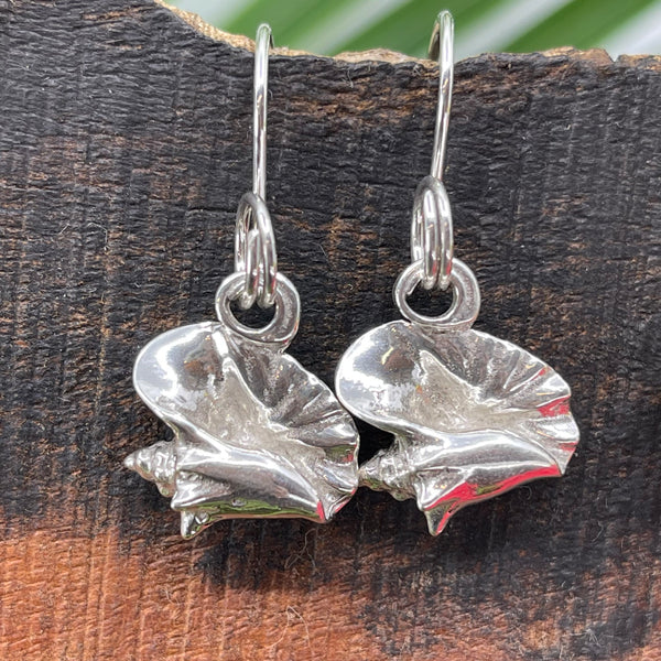 Conch Shell Earrings – Crucian Gold
